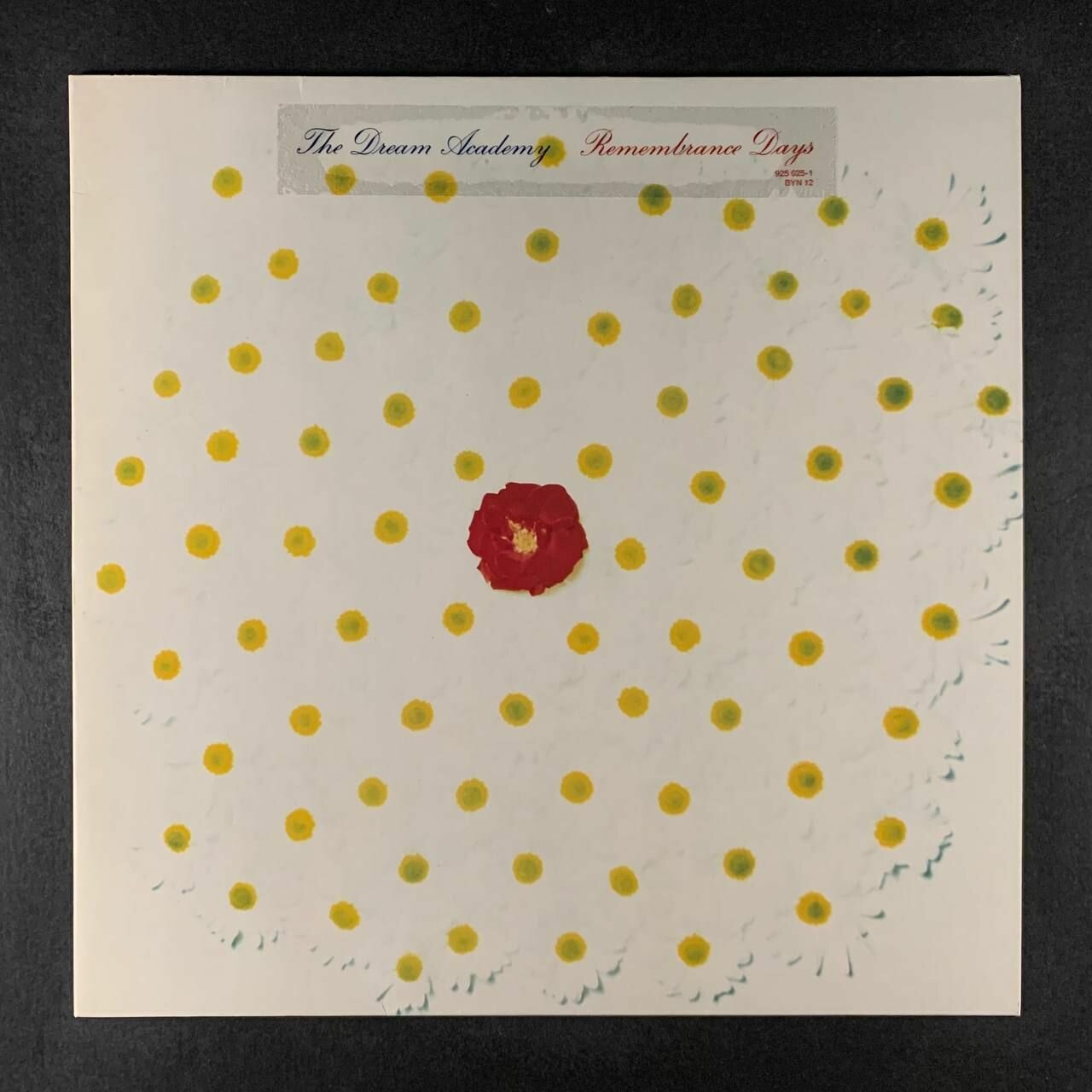 The Dream Academy - Remembrance Days (Виниловая пластинка)