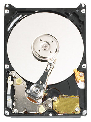 Жесткий диск Western Digital 320 ГБ WD3200BEVE