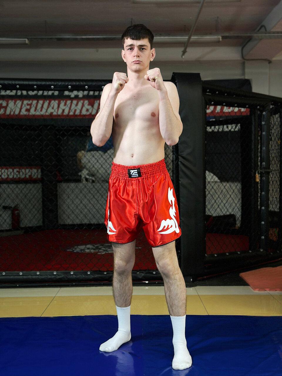 Шорты спортивные