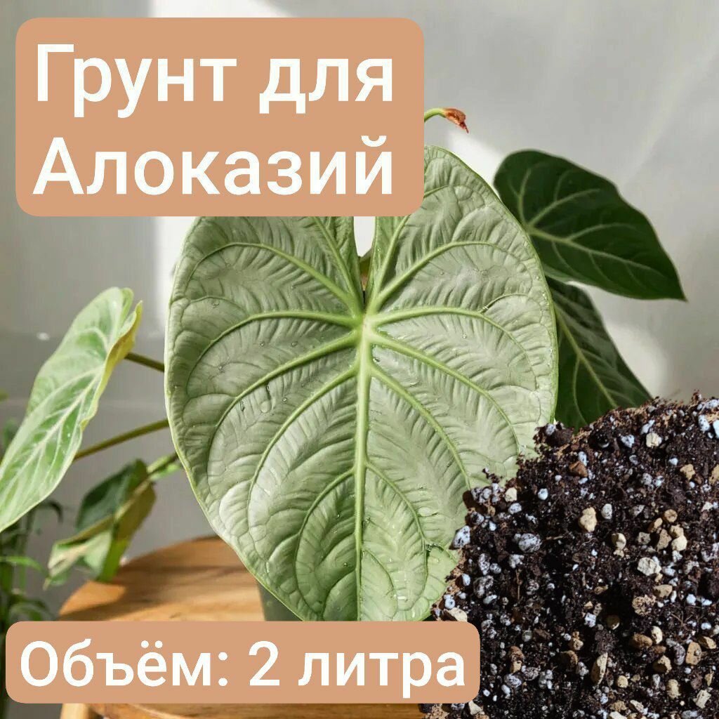 Авторский грунт для Аллоказий 2 литра