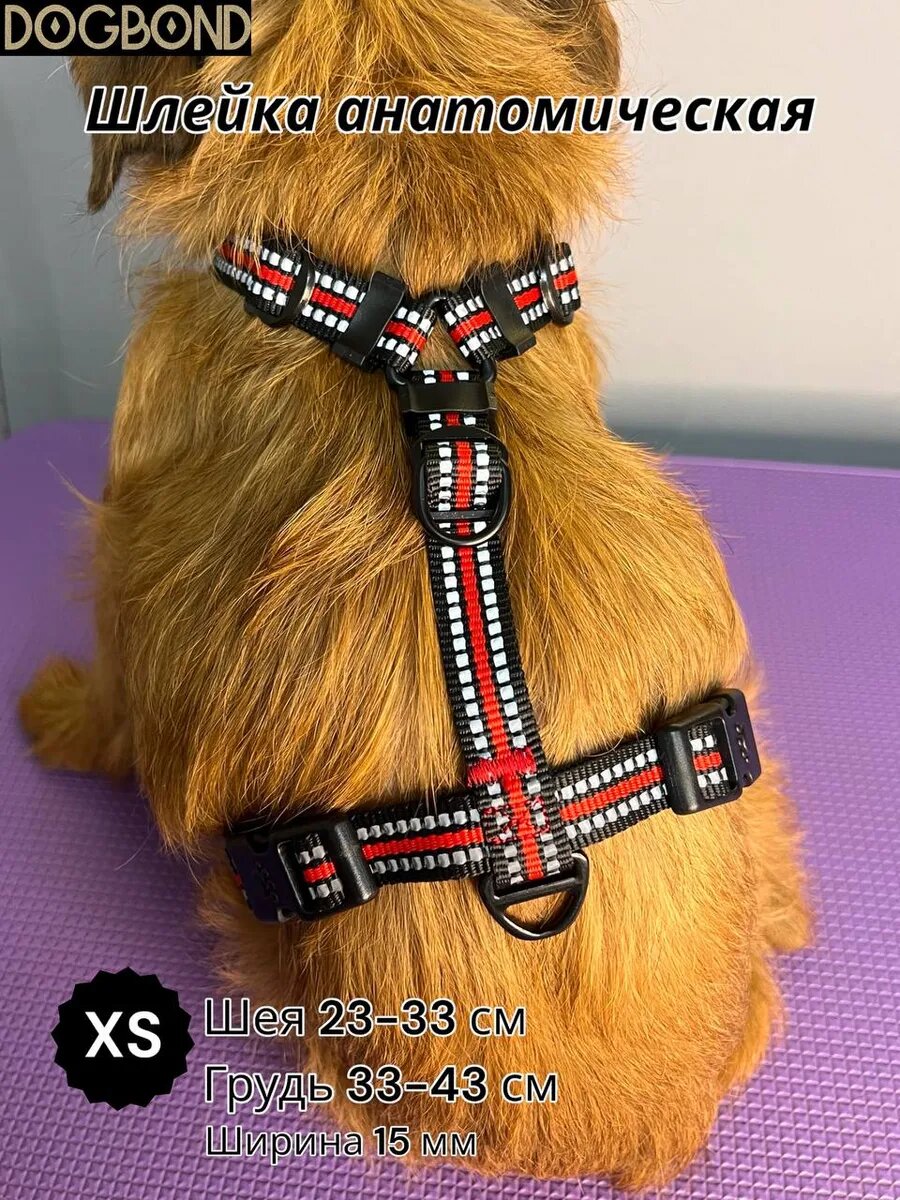 Шлейка Dogbond анатомическая из стропы для собак