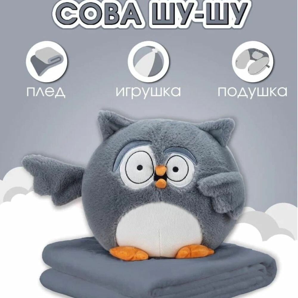 Сова с пледом