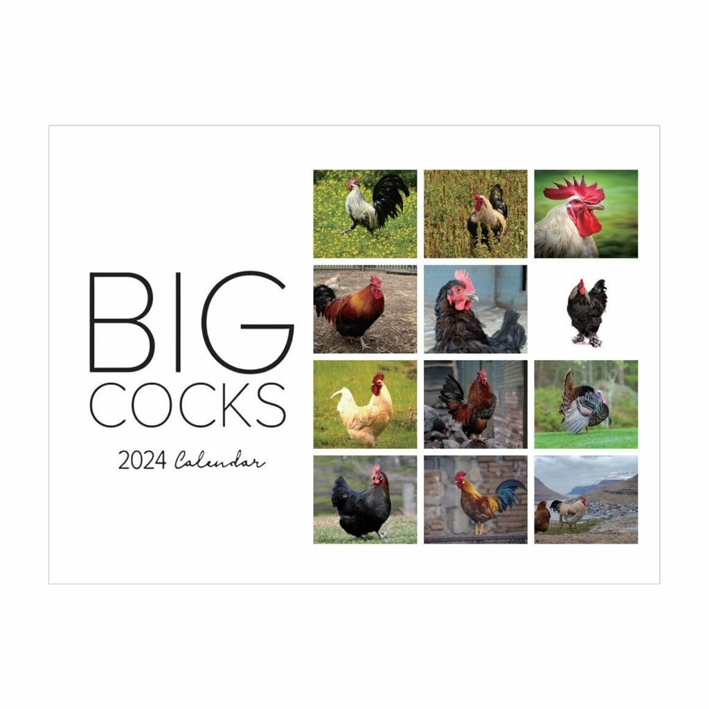 Настенный календарь на 2024 год для планирования праздников и месяцев с дизайном петухов