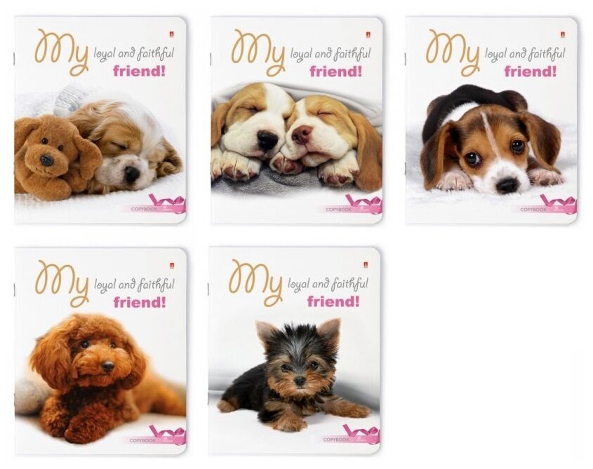 Тетрадь общая Альт, А5 (165 х 203 мм), "щеночки" 48 л, клетка, Арт. 7-48-211, 5шт.