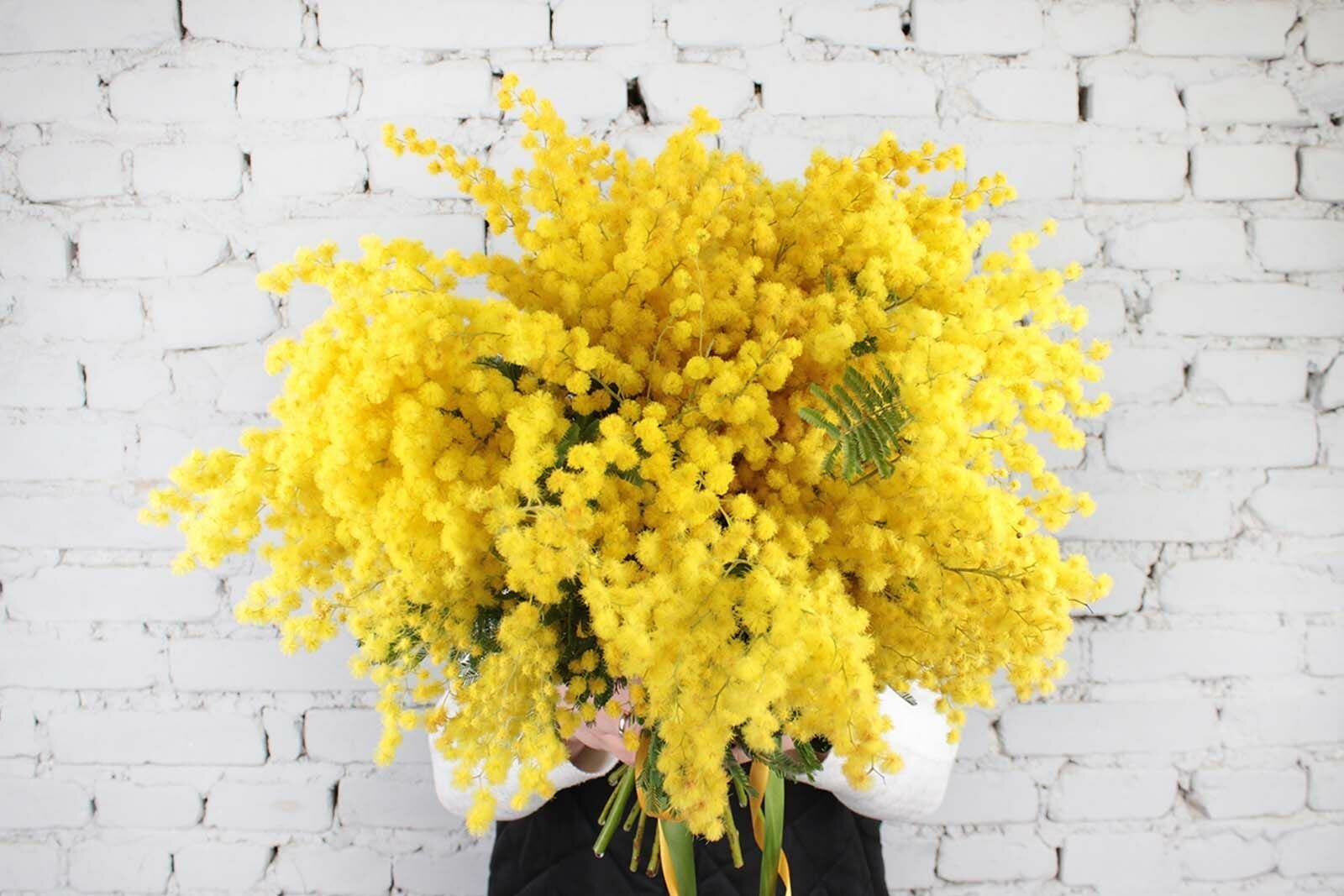 Букет мимозы "8 Марта"