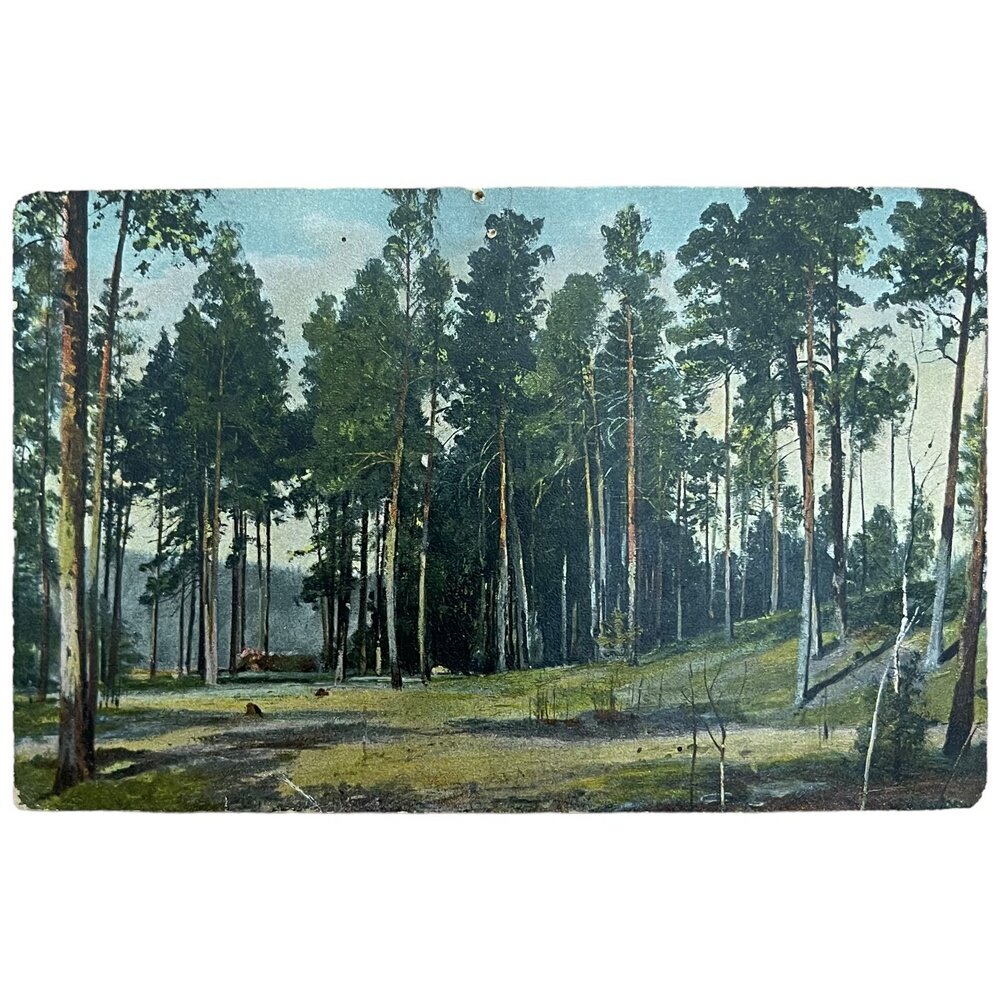 Почтовая открытка "И. И. Шишкин. Лес" 1900-1917 гг. Российская Империя