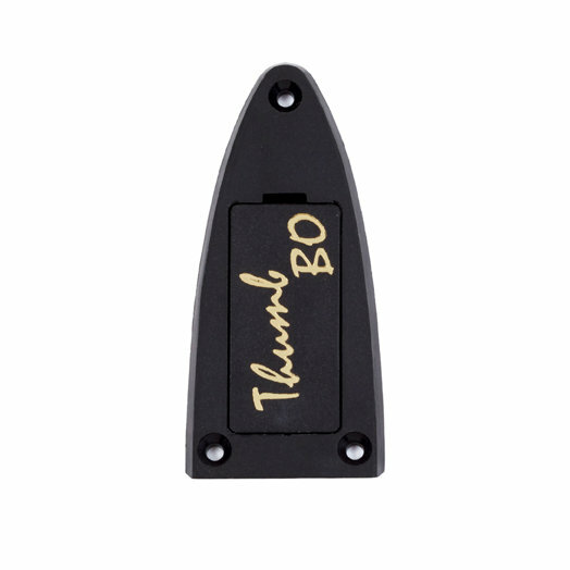 Warwick крышка анкера с логотипом SP W 50022, черная