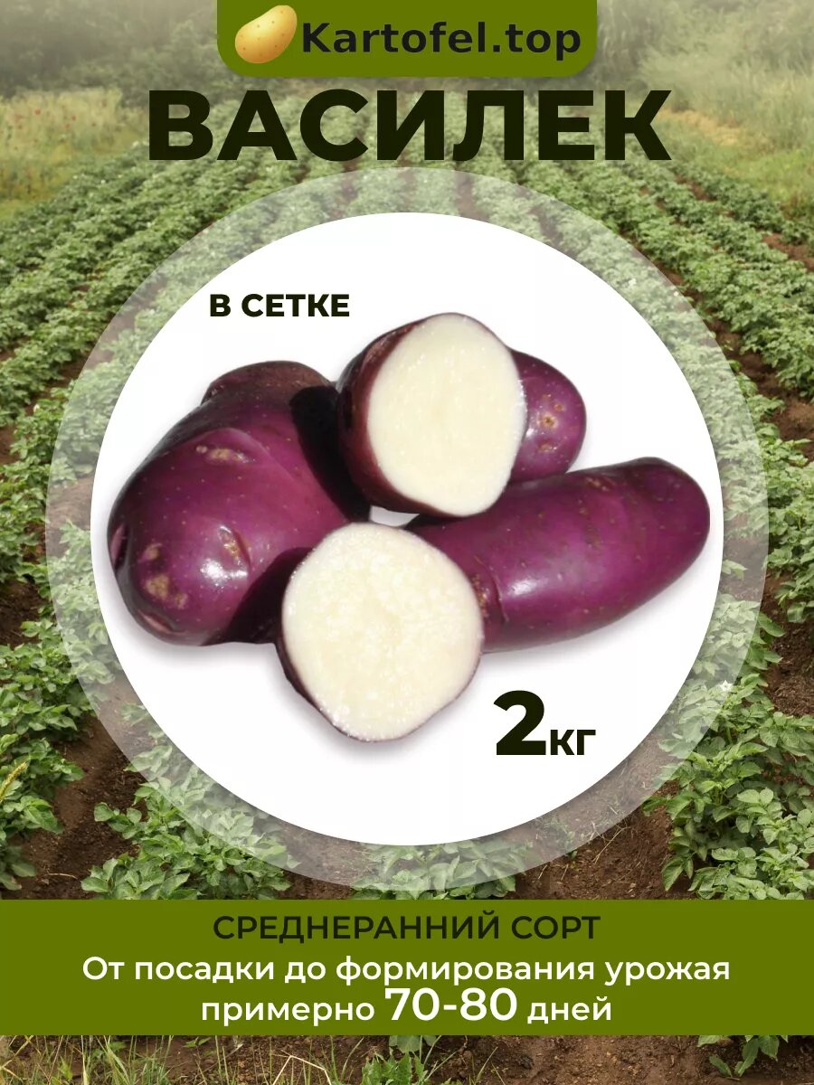 Картофель семенной Василек 2 кг