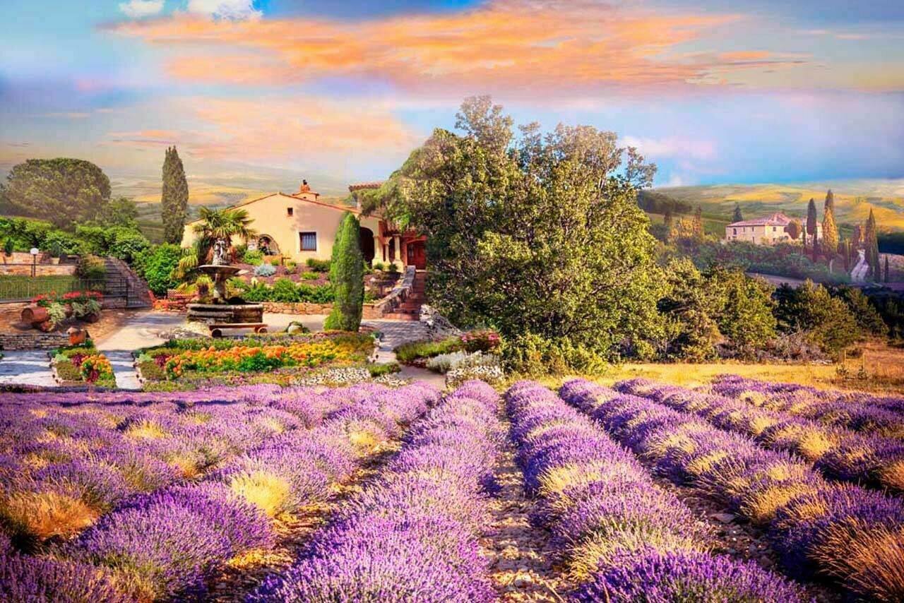 Фотообои Прованс 7-018-S-Флок 270 x 200 см (ВхШ) Бесшовные, флизелиновые, влагостойкие обои MasterFresok