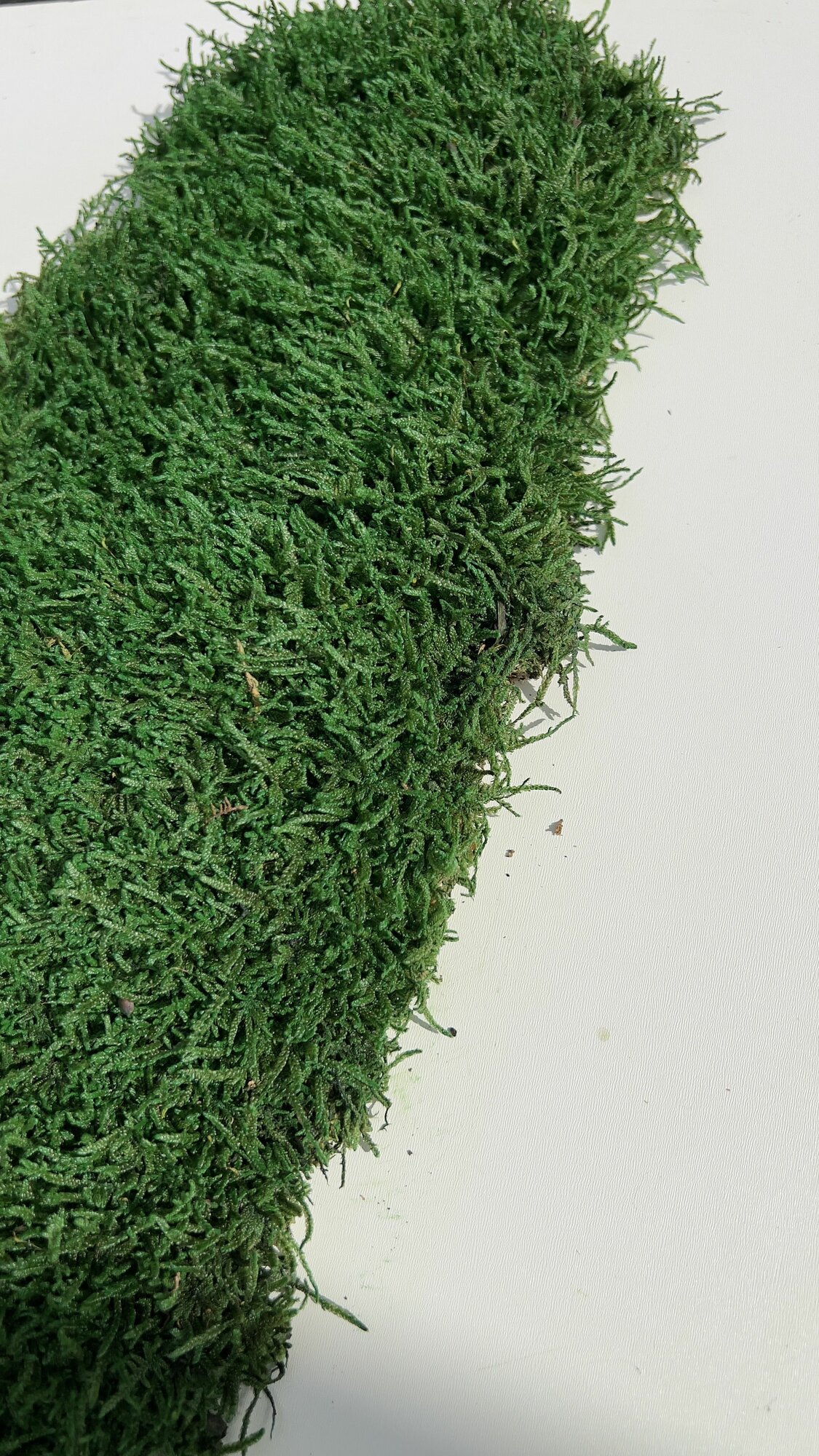 Стабилизированный мох, пластовый 0.2 кв. м.