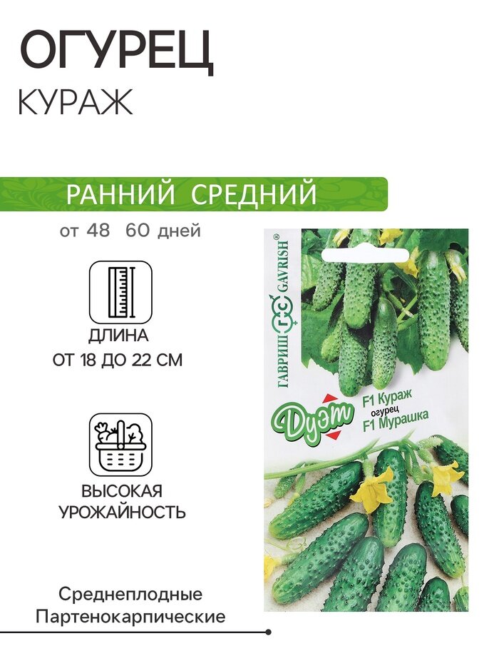 Семена Огурец "Кураж", F1, 10 шт + "Мурашка", F1, 10 шт