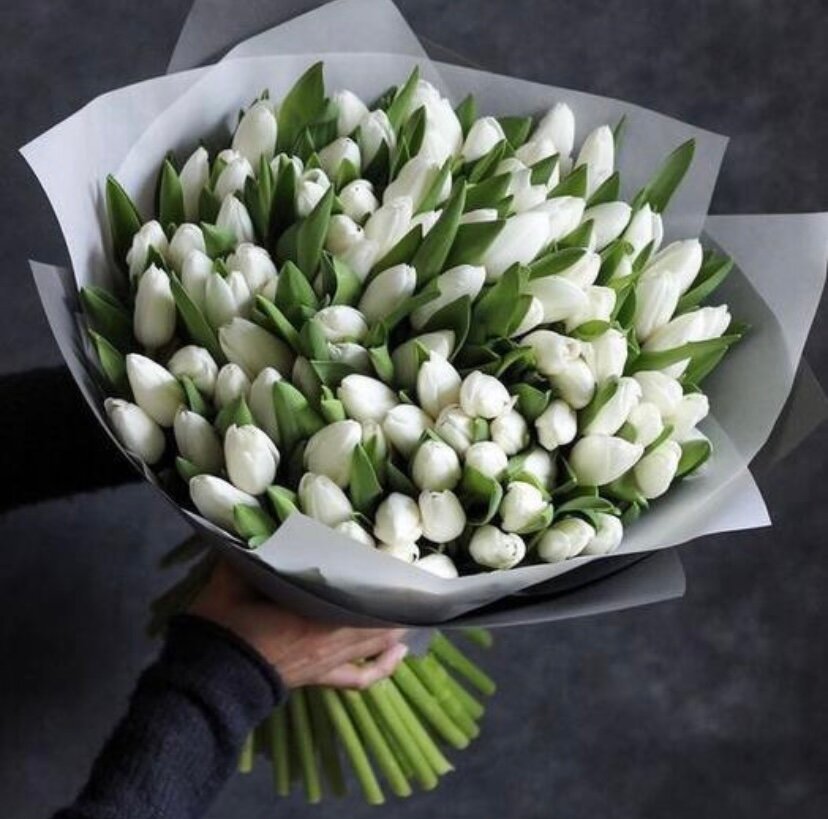 Букет живых цветов, белые тюльпаны NURA FLOWERS 101 цветок, высота 55 см