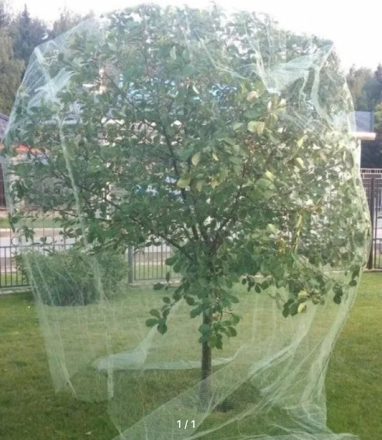 Сетка садовая от насекомых и вредителей для фруктовых деревьев. Плотность200г/кв. м, (240х24 см)