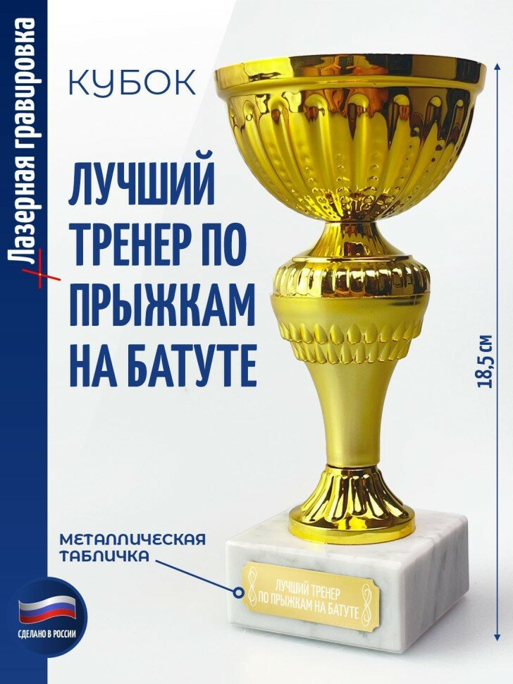 Кубок "Лучший тренер по прыжкам на батуте" (18,4 см)