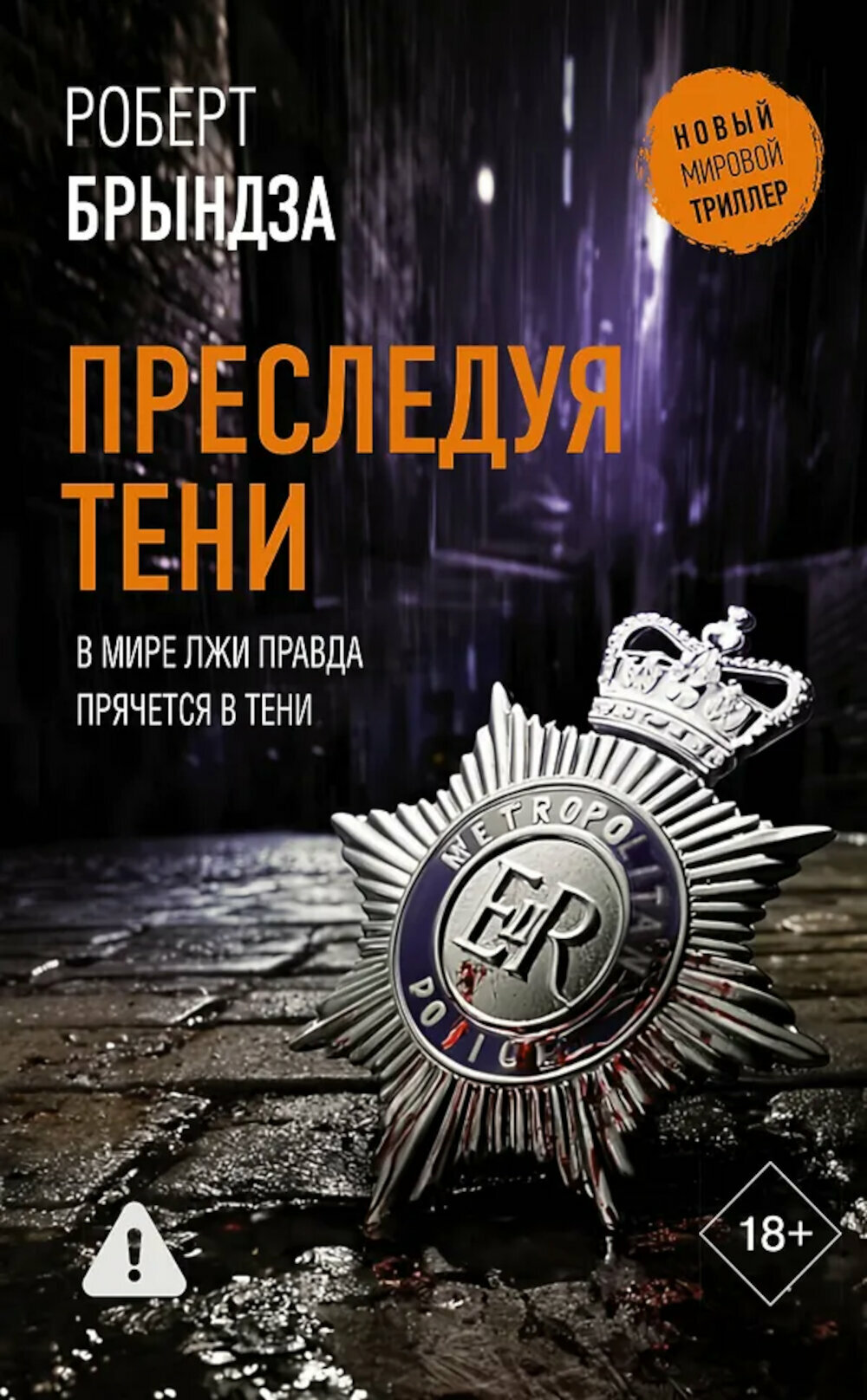 Преследуя тени: роман. Брындза Р.