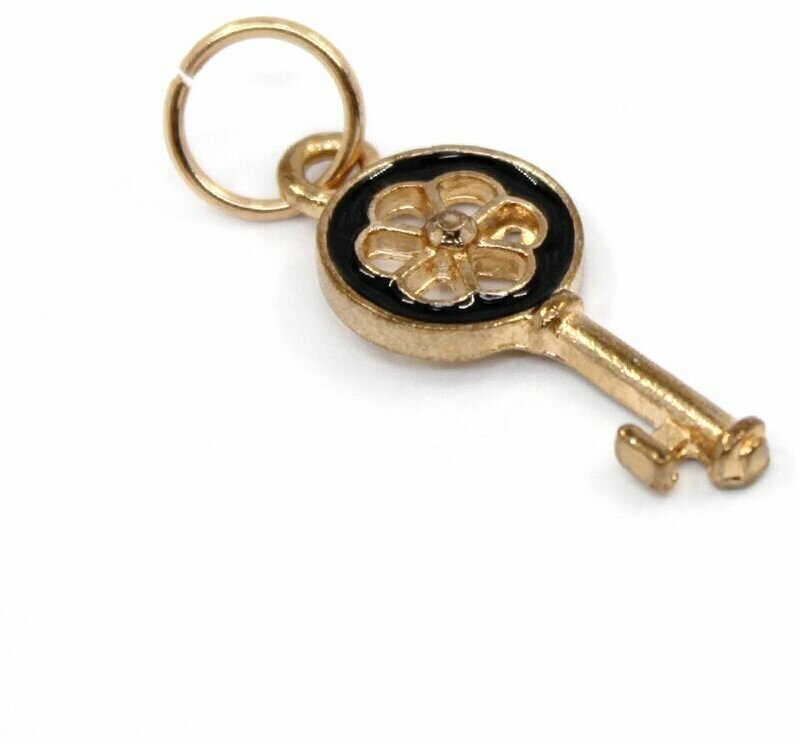 Шарм Handinsilver ( Посеребриручку ), металл