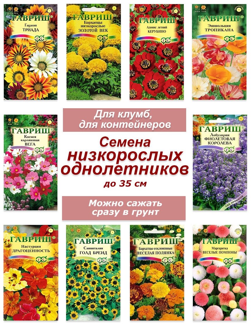 Набор семян, семена низкорослых однолетних цветов - бархатцы, настурция, эшшольция и др