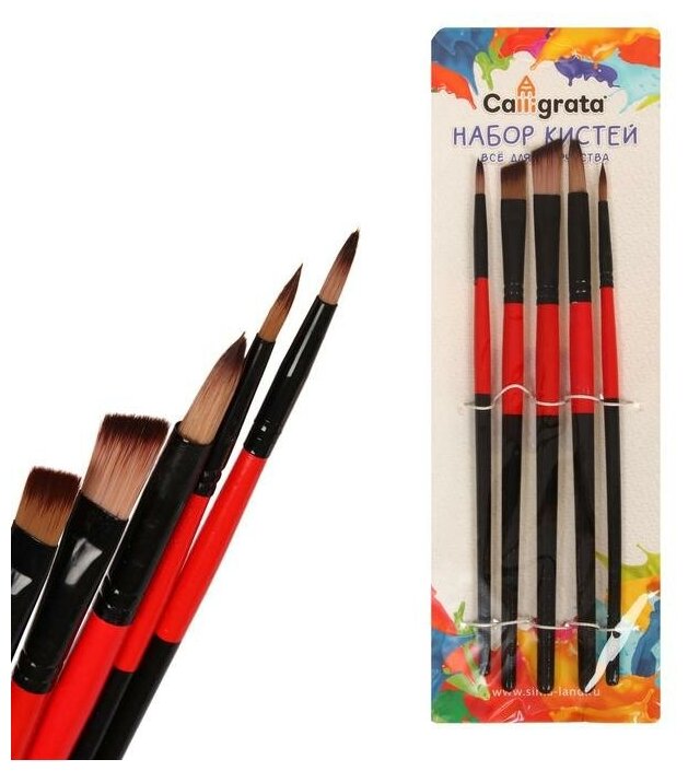 Набор кистей для рисования, нейлон, 5 штук, круглые, плоские, международный размер