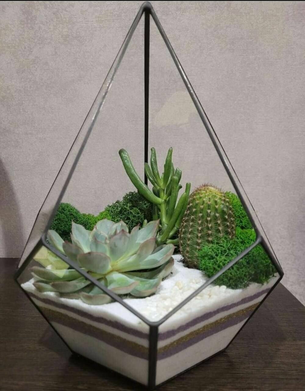 Флорариум / Растение комнатное в вазе / Подарок