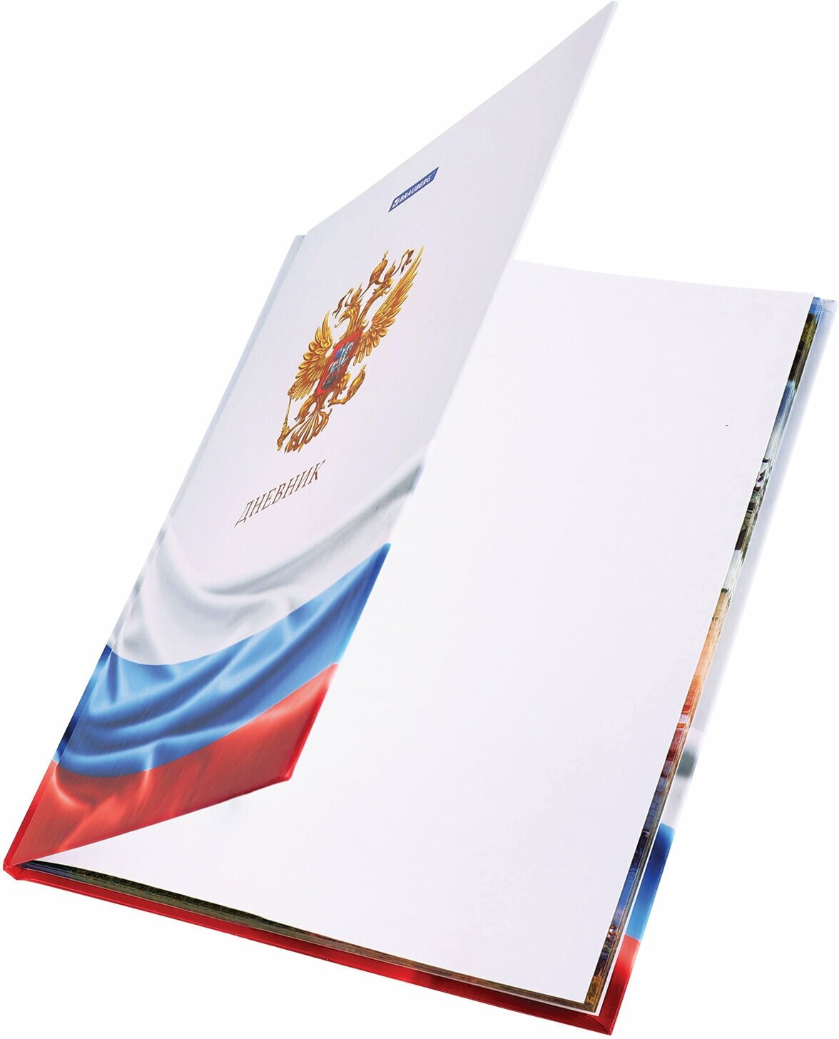 Упаковка 12 шт. Дневник 1-11 класс 40 л, твердый, BRAUBERG, ламинация, цветная печать, российского ШКОЛЬНИКА-4, 106052