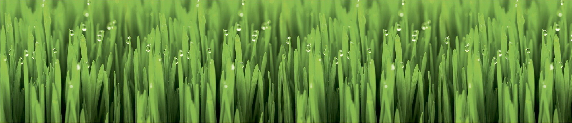 Кухонный фартук/стеновая панель МДФ для кухни 2800*600*6мм "MG-40"