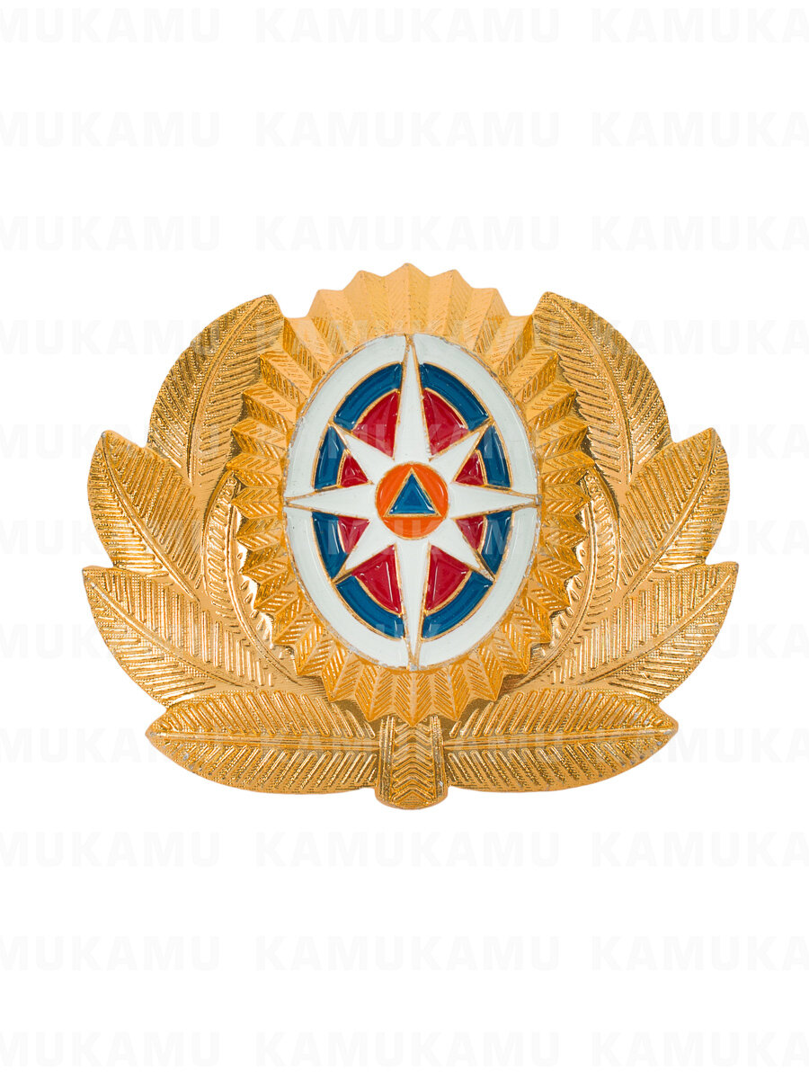 Кокарда Мчс для учебных заведений в обрамлении золото