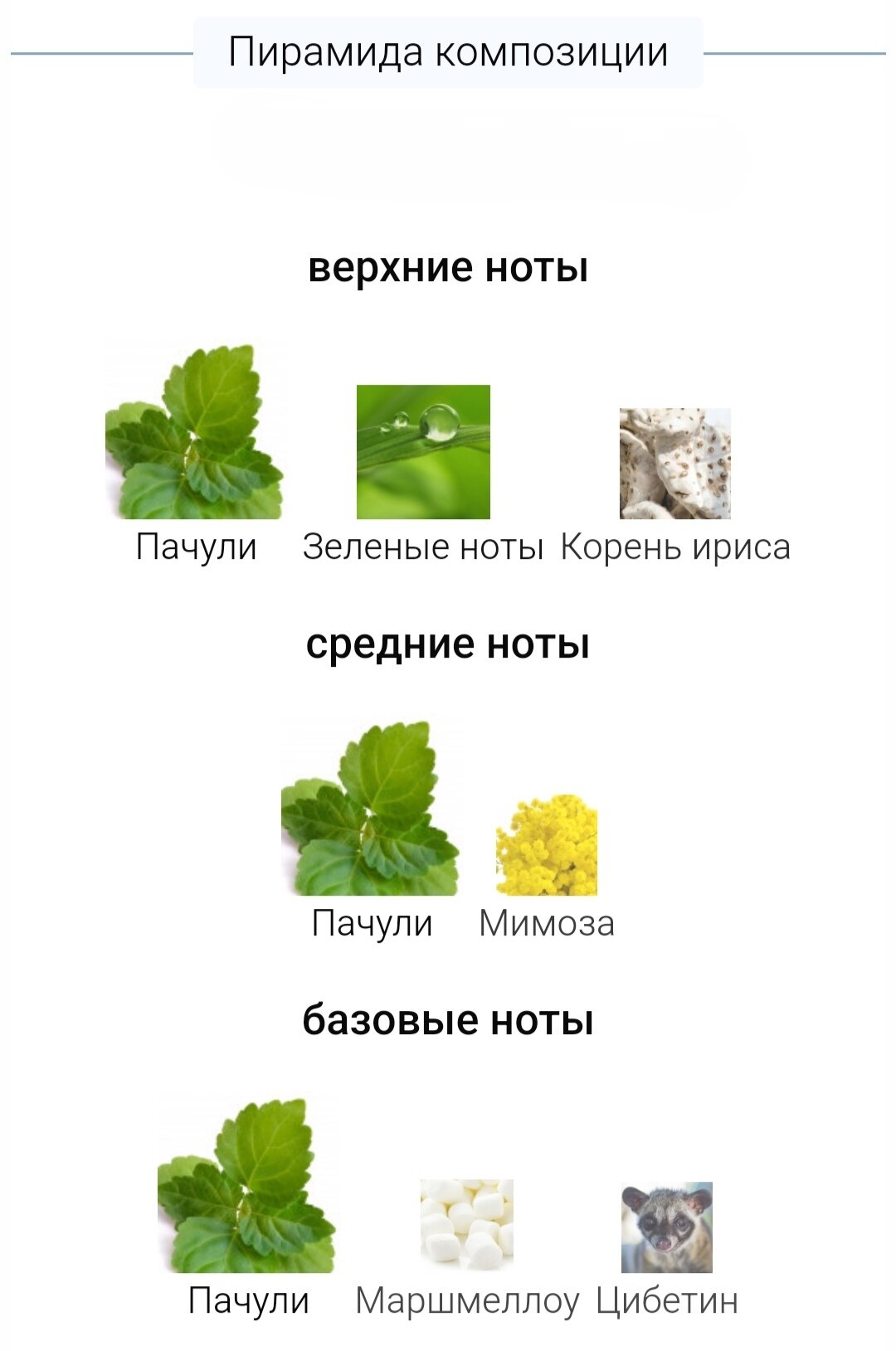 Духи ручной работы по мотивам 'Sole Patchouli', Вертус, для мужчин и женщин — фото 1