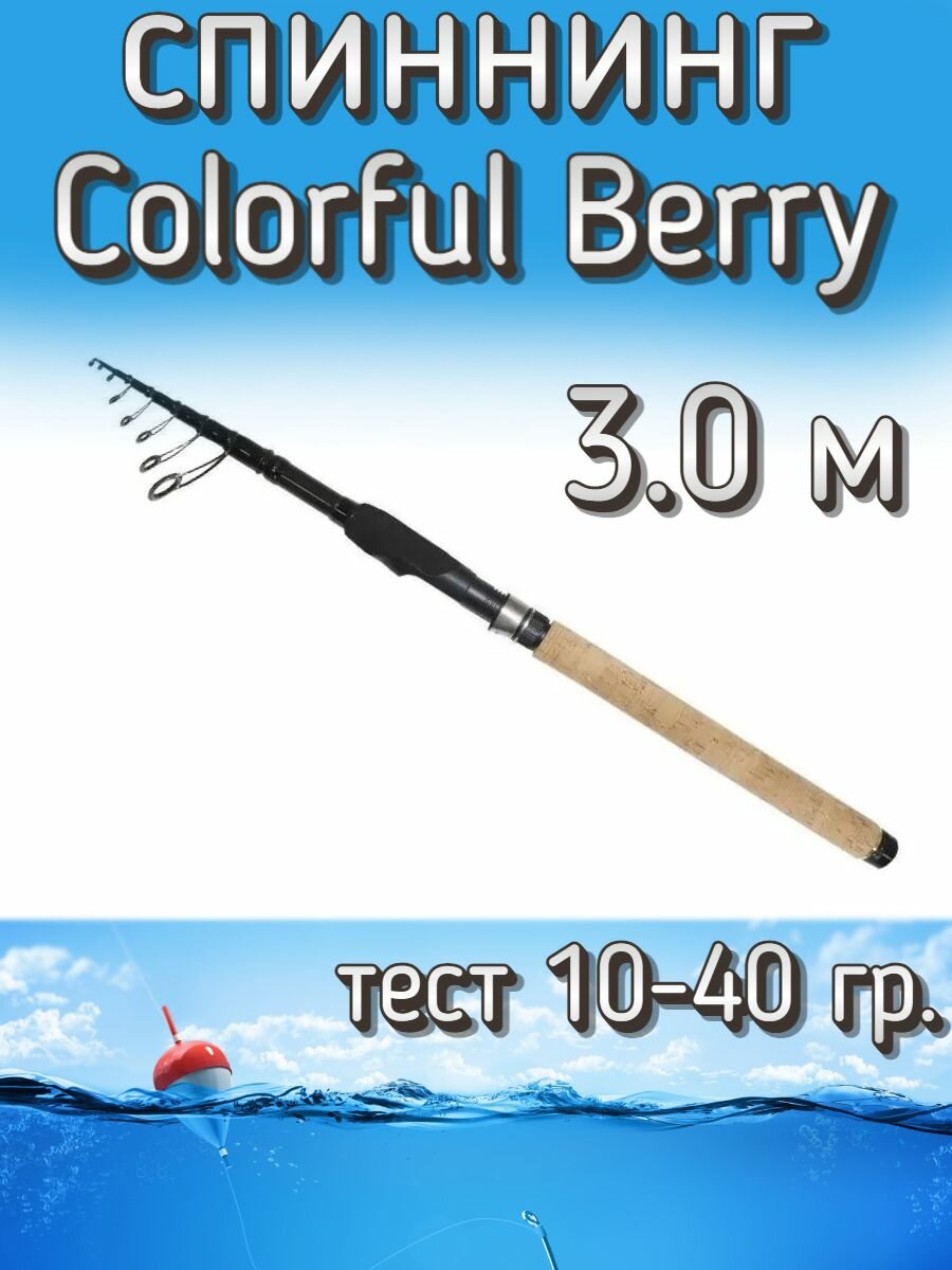 Спиннинг телескопический Colorful Berry, тест 10-40 грамм, 300 см