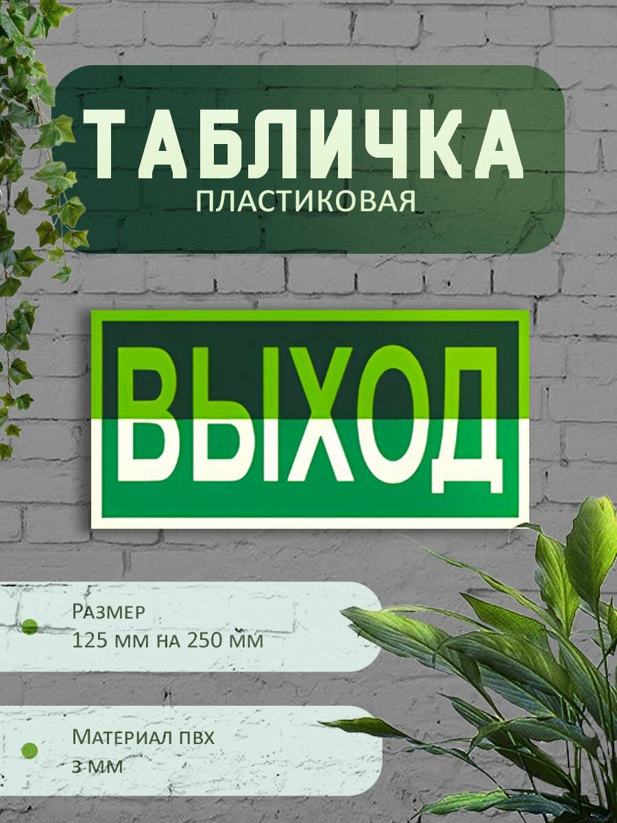 Табличка информационная Знак "Е 32-01 " Служебный выход " пластик фотолюм 125х250х 1шт.