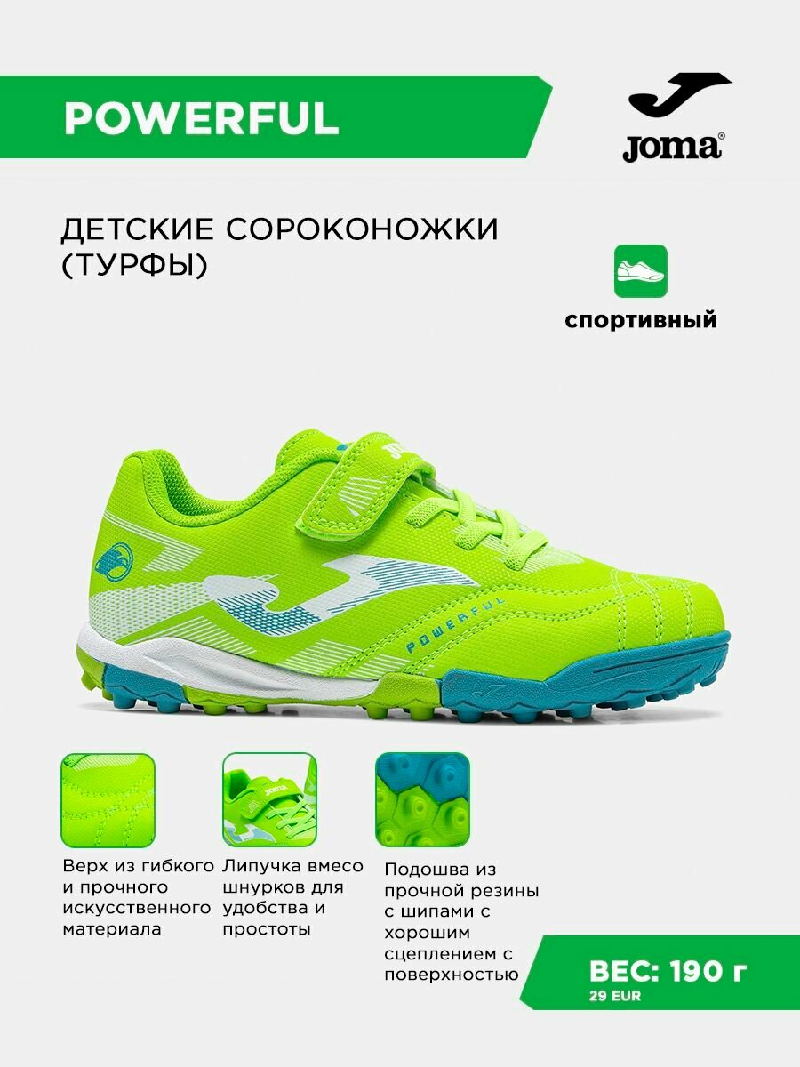 Сороконожки