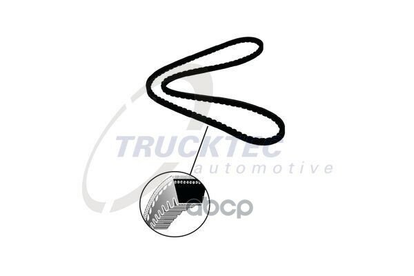 Ремень клиновый TruckTec арт. 03.19.009