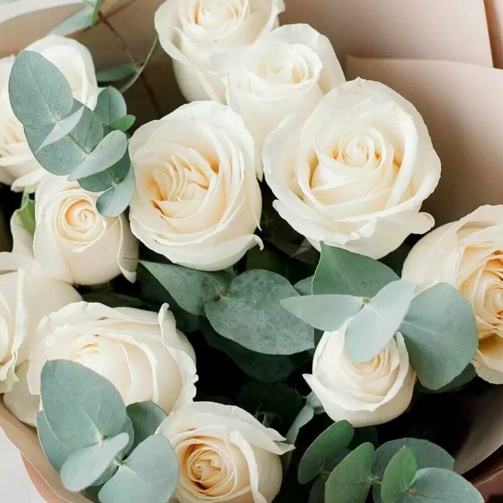 Нежный монобукет из 11 белых роз с веточками ароматного эвкалипта.