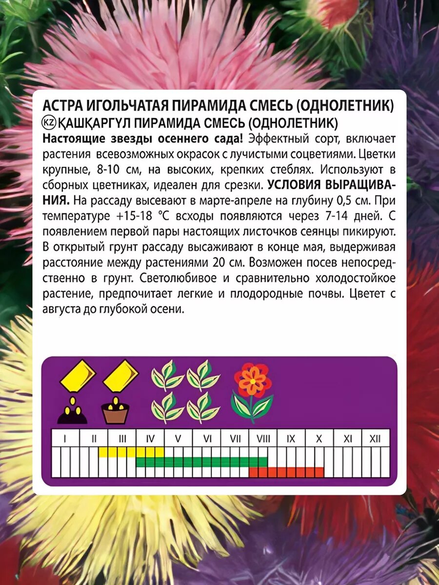 Семена для сада Агроуспех Астра: Фея бала розовая, Мастер Аполло белая, Башня смесь, Пирамида смесь — фото 1