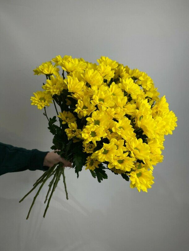 Букет Well Flowers "Хризантемы", круглый, размер XL, композиция на пленке, 9 цветов, букет свежих цветов