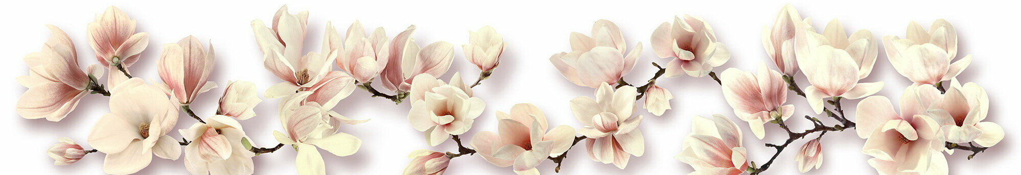 Фартук для кухни из АБС пластика 3000*600*1,5мм. Кухонный фартук ABS с фотопечатью "Ветка магнолии"