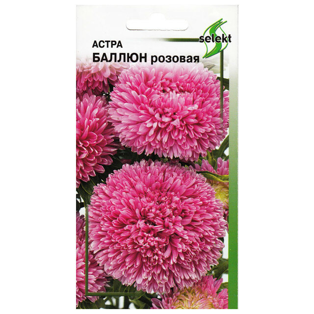 Дом Семян семена астра Баллюн розовая, декоративное растение для сада