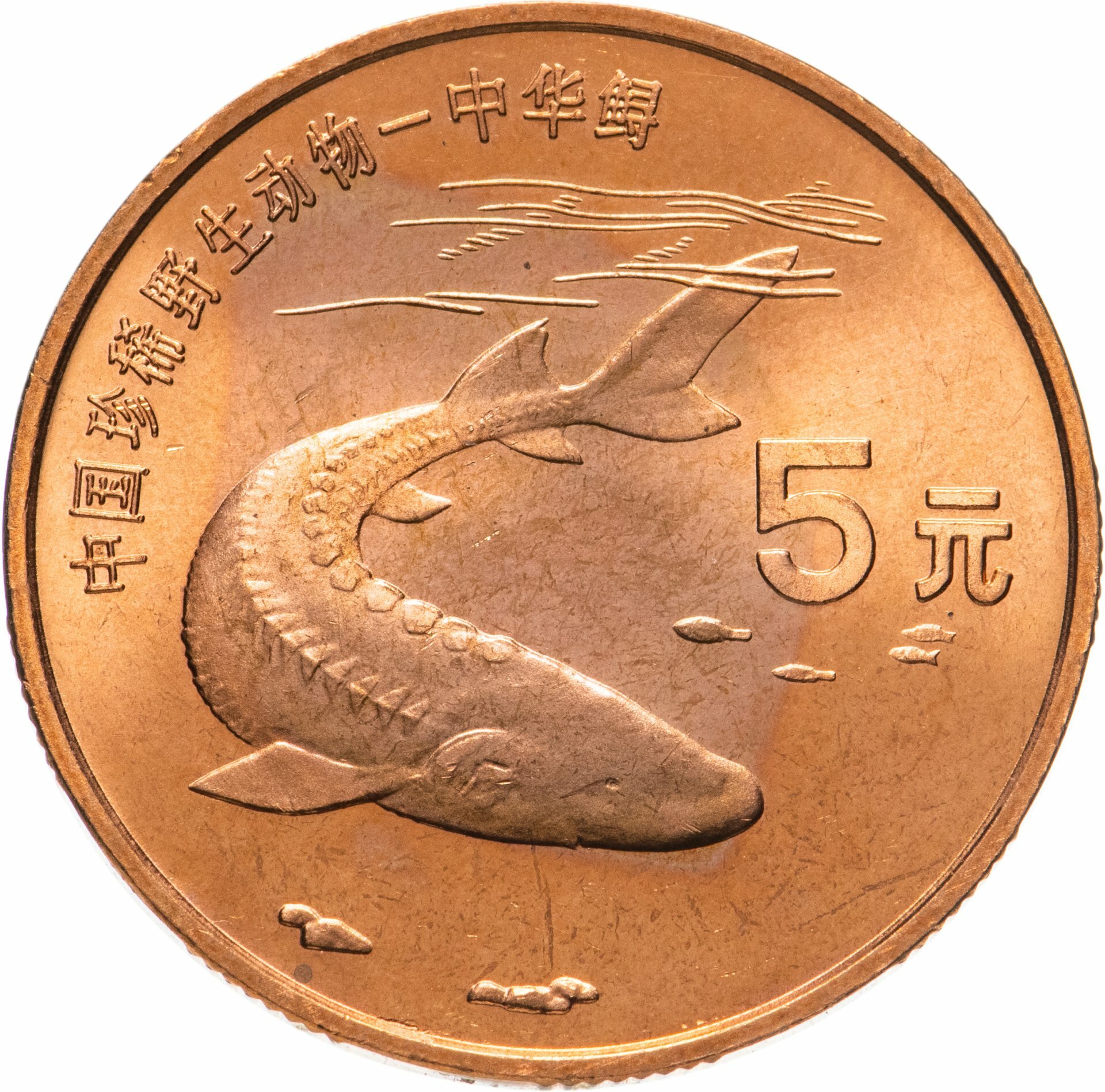 Китай 5 юаней yuan 1999 "Красная книга - Осетр", Медь, в сохранности UNC
