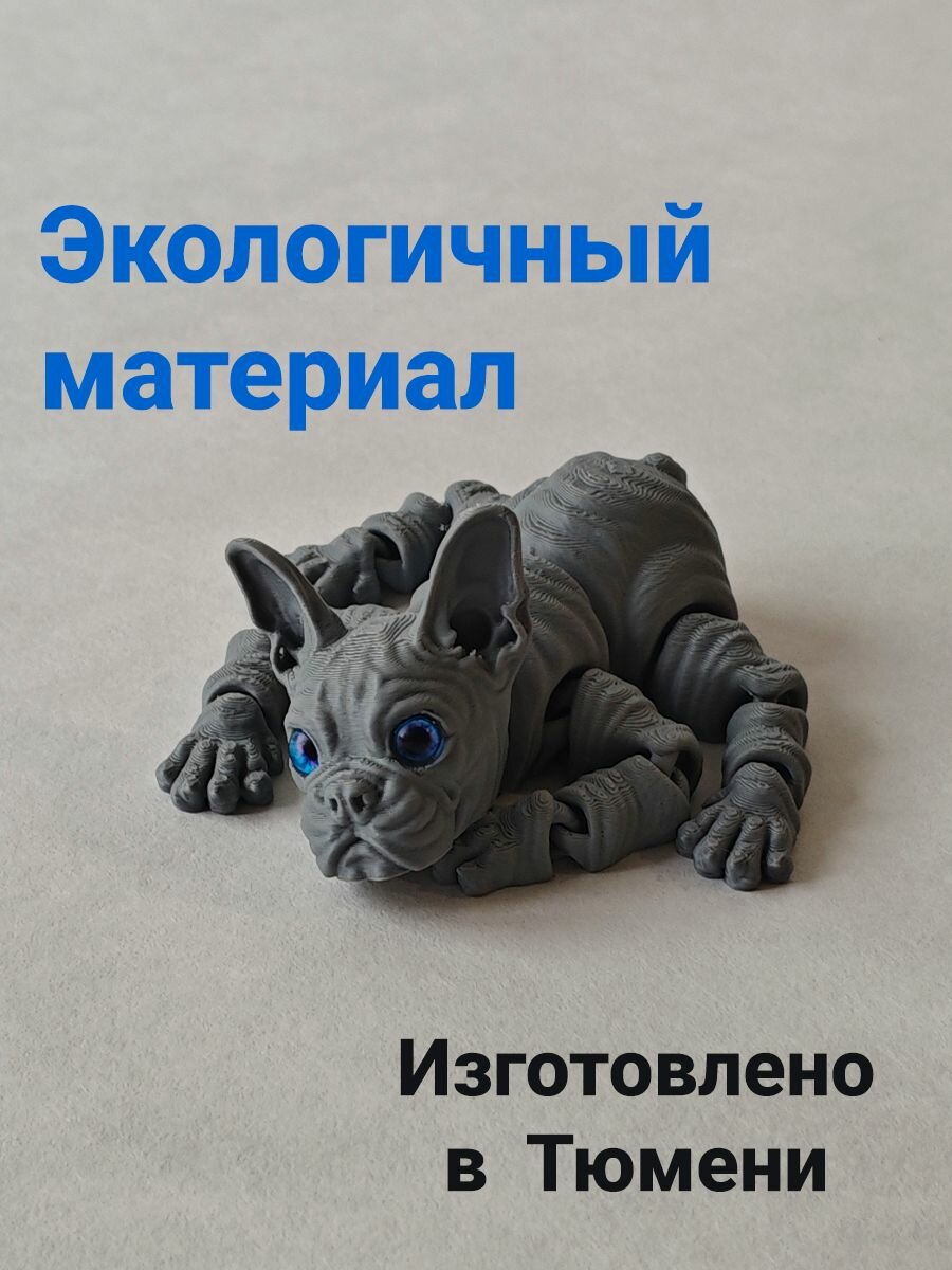 Бульдог подвижный — фото 1