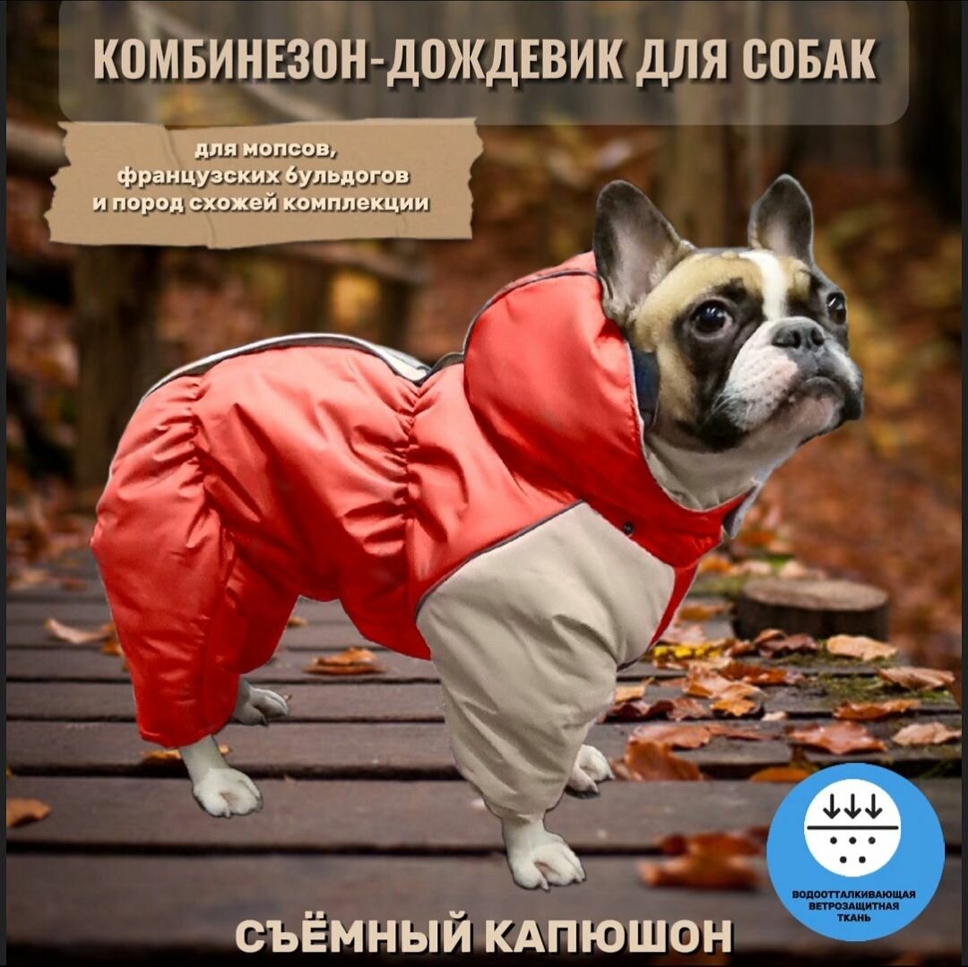 Комбинезон-дождевик со съемным капюшоном для собак: французских бульдогов, мопсов, оранжевый/беж, ФР-2