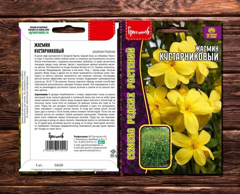 Жасмин Кустарниковый 5 семян / Семена редких растений