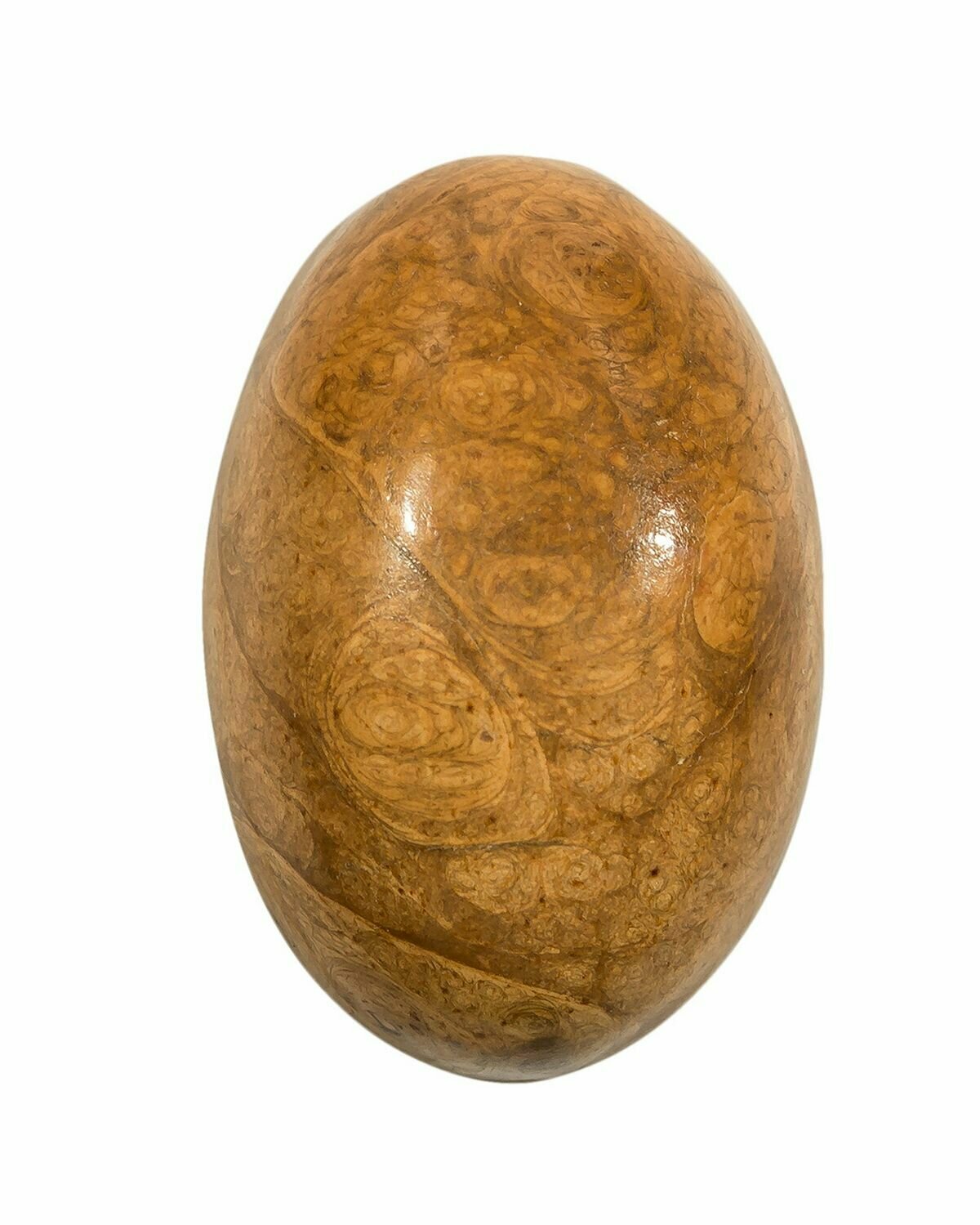 Кабошон из риолита размером 23х15х8 мм.