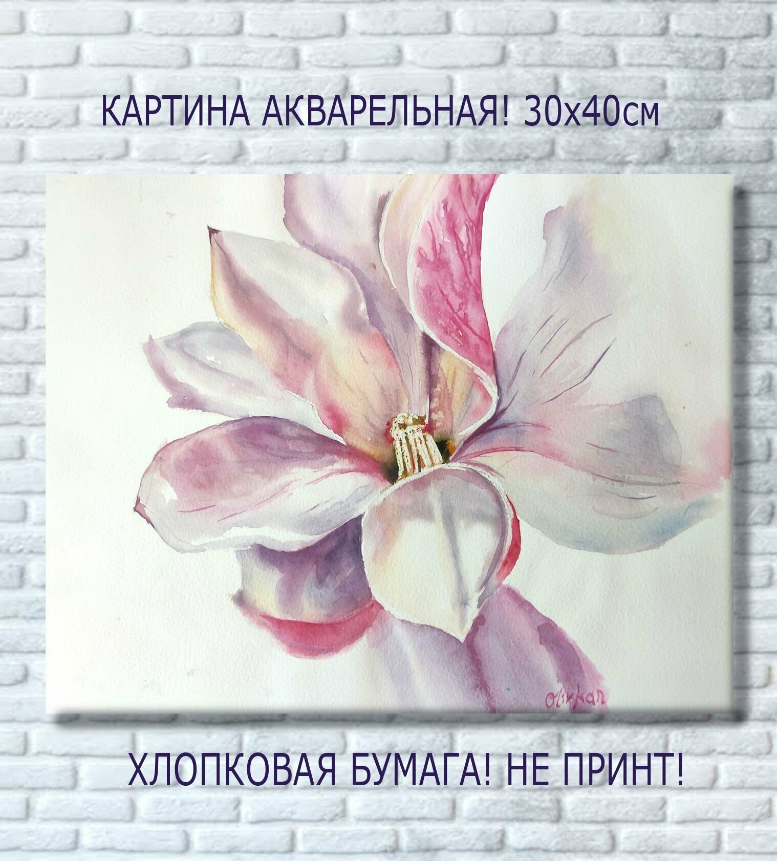 Картина Магнолия, Цветы акварель живопись, 30х40 см