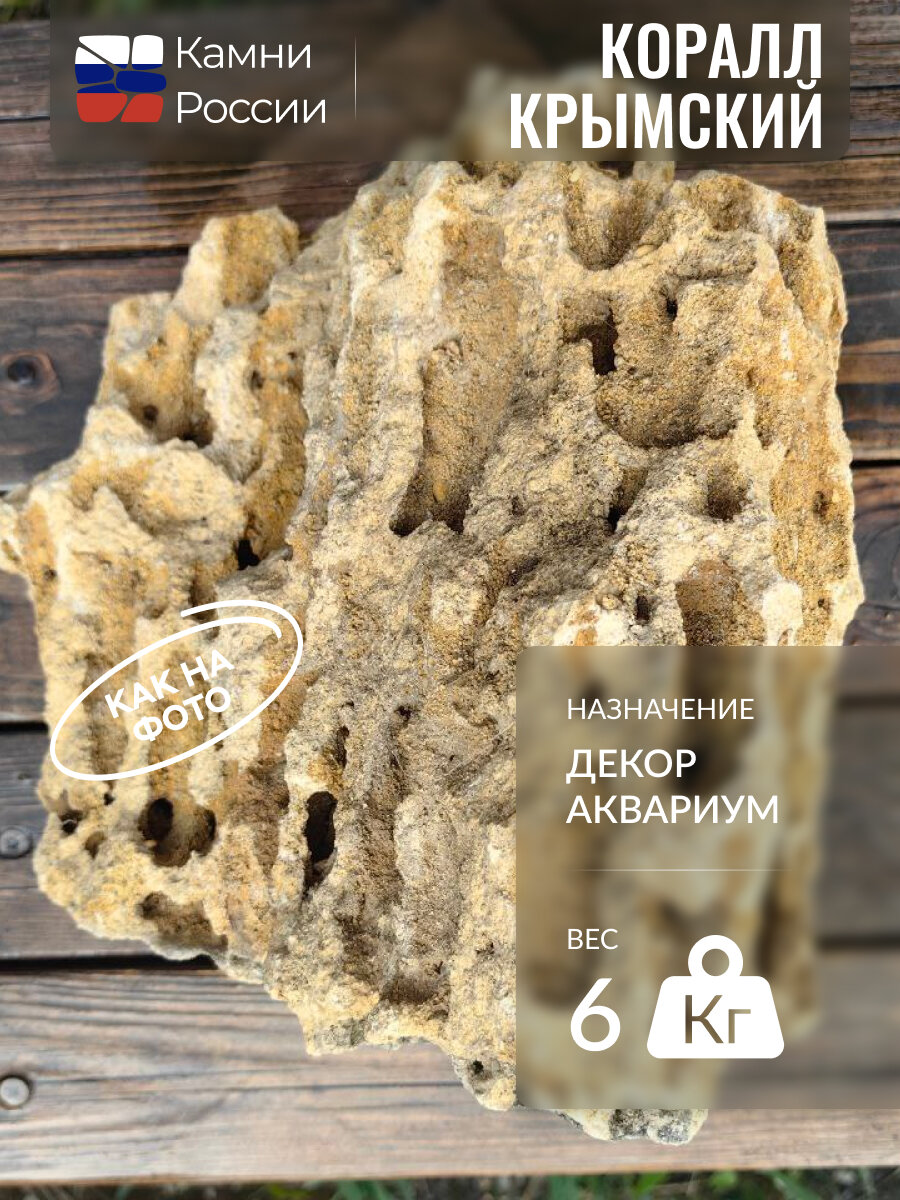 Декор для аквариума, камни, Коралл Крымский, 6кг