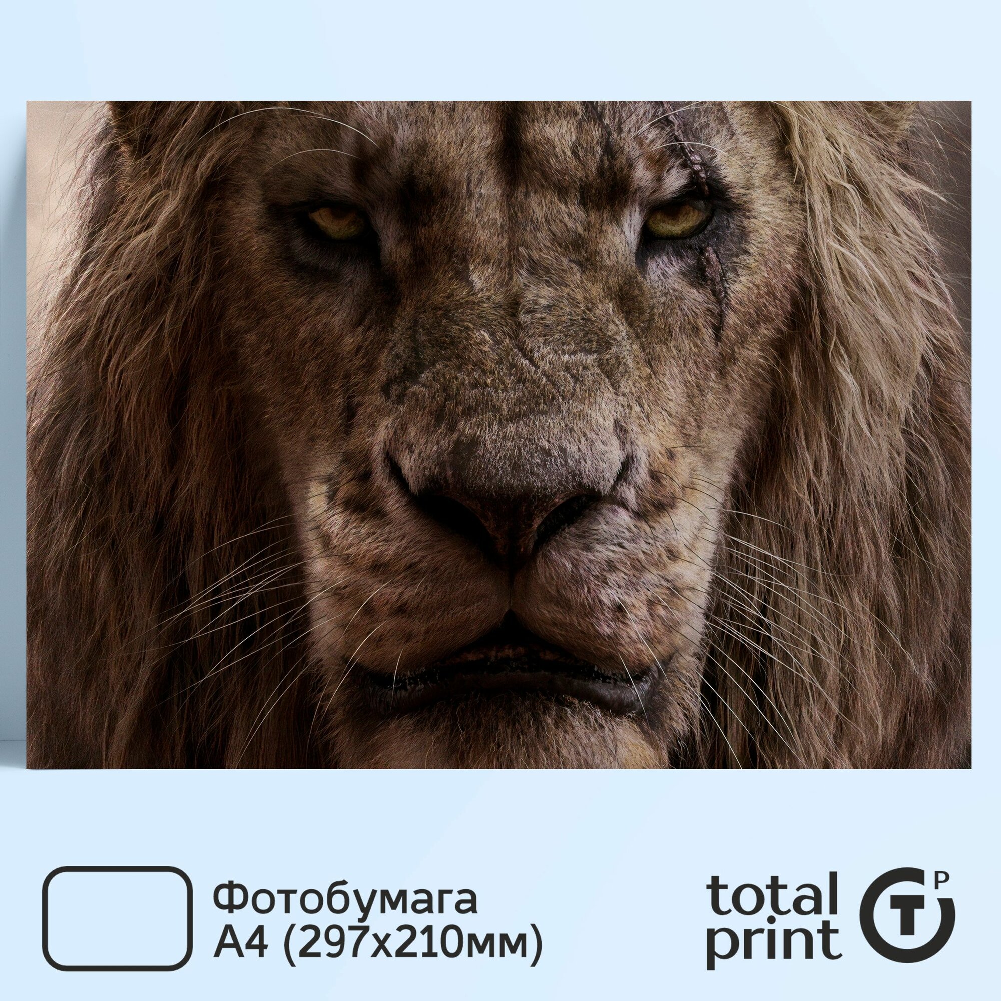 TotalPrint Постер для интерьера, Король Лев, А4(21х29.7см)