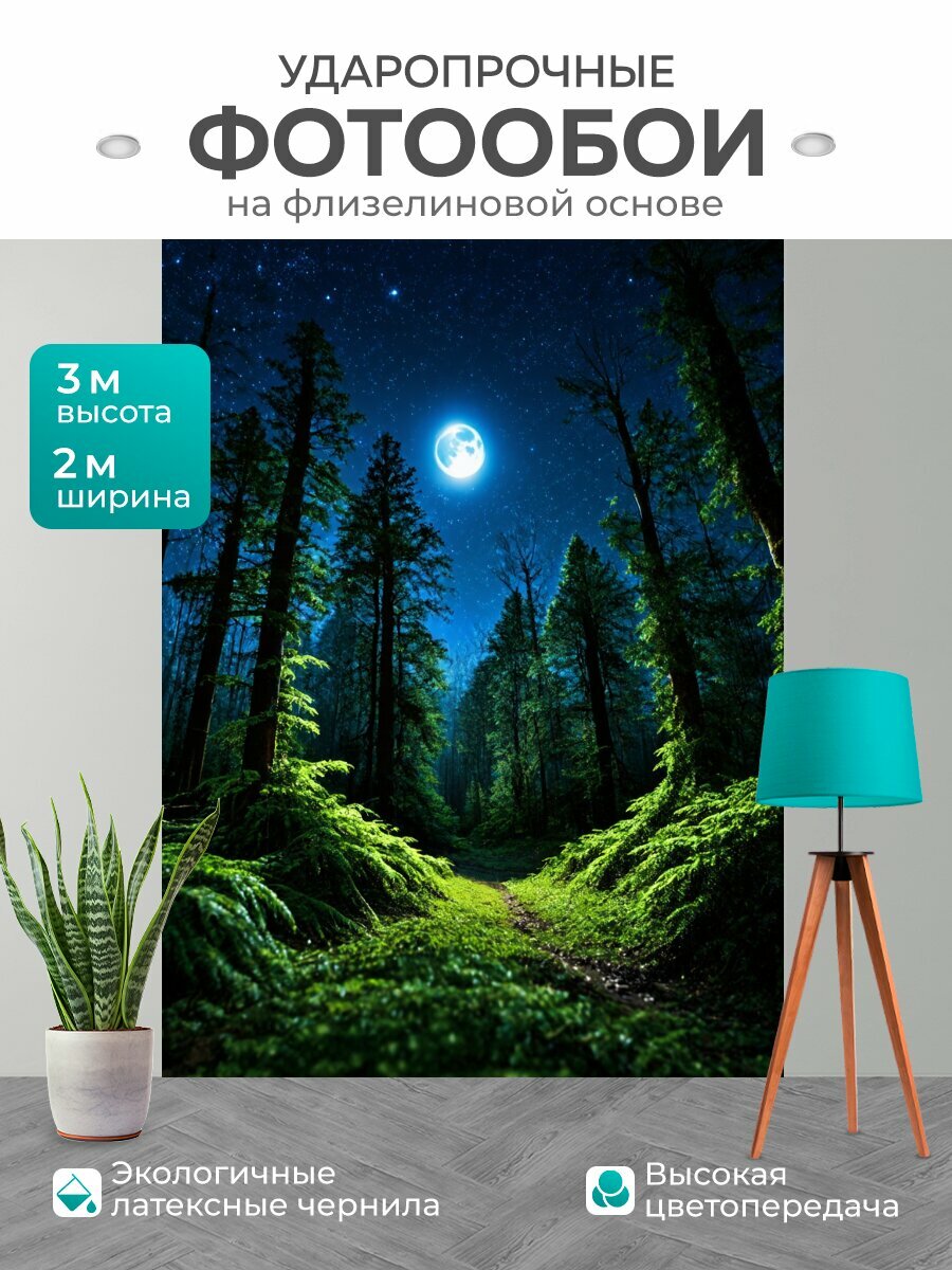 Фотообои моющиеся ударопрочные "Ночной лес с мерцающими звездами и луной" 200x300 см. флизелиновые на стену