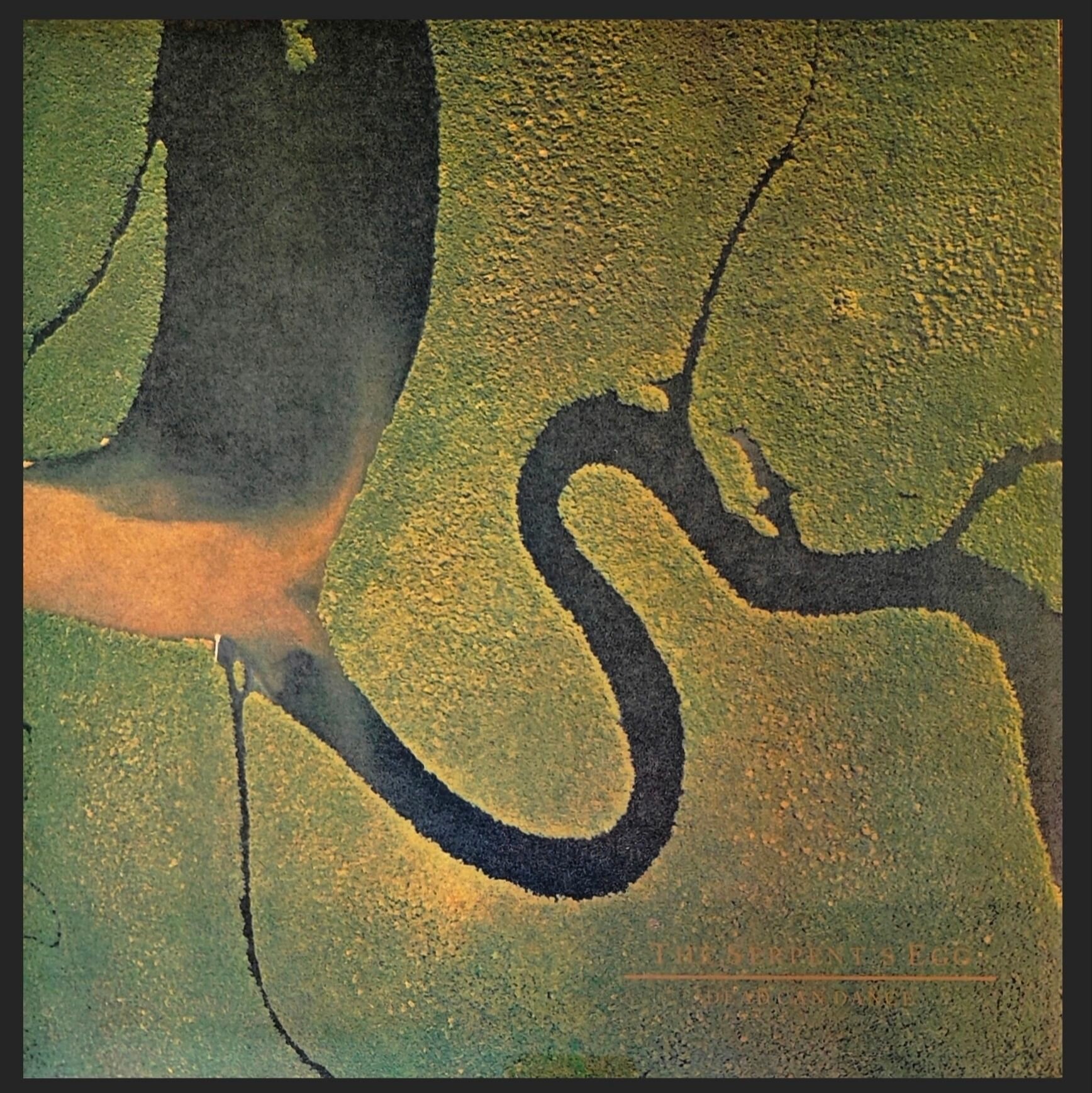 Виниловая пластинка Dead Can Dance - The Serpent's Egg (LP, 2023, 4AD)