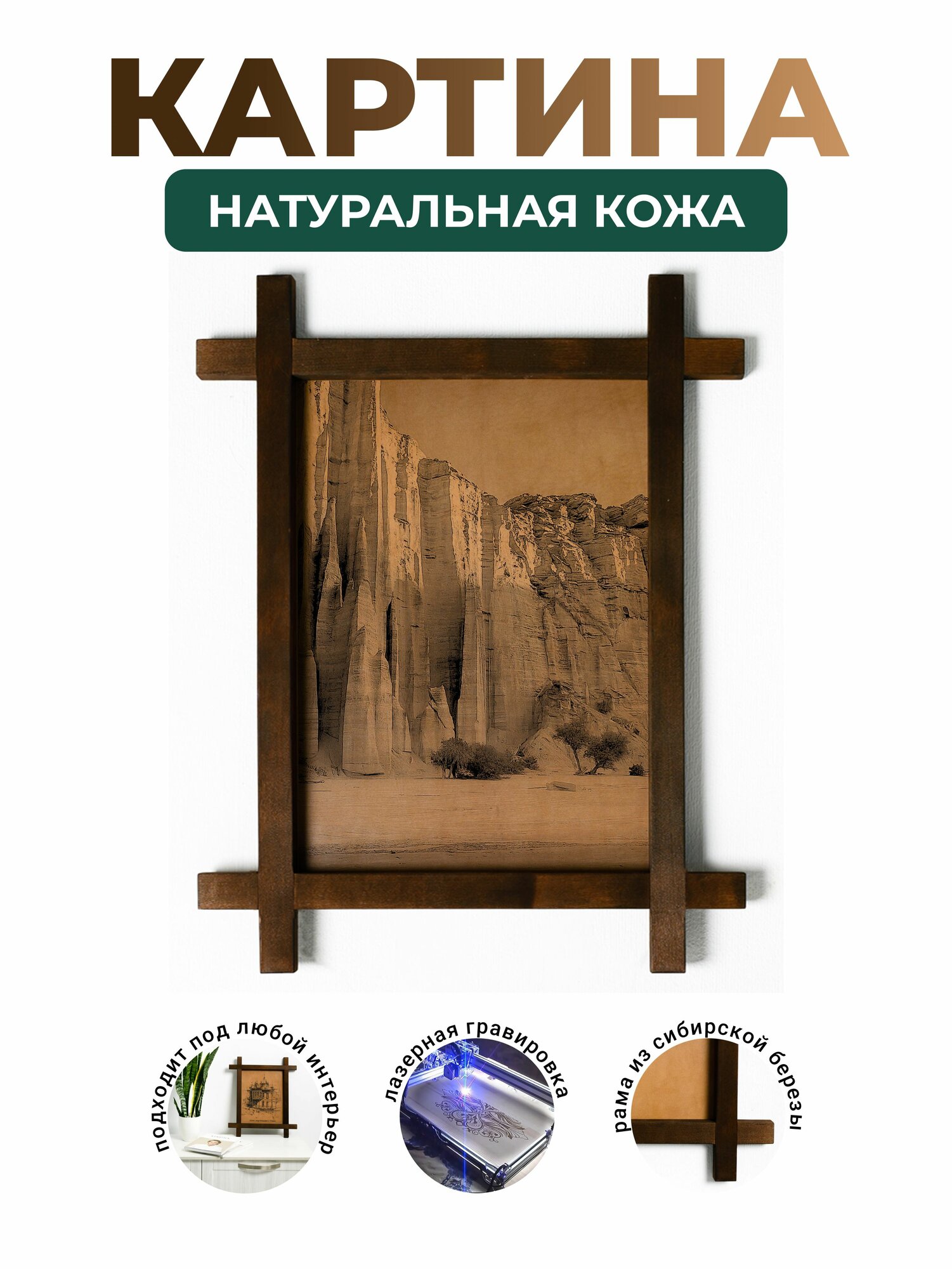 Интерьерная картина из натуральной кожи "Национальный парк Талампайя, Аргентина", декоративное настенное панно в деревянной раме, BoomGift