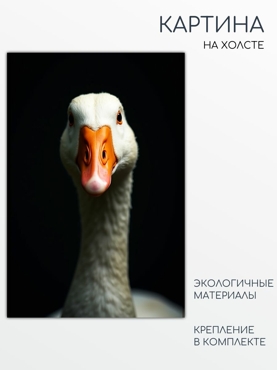 Картина на холсте "Белая утка на черном фоне" 40x60 см