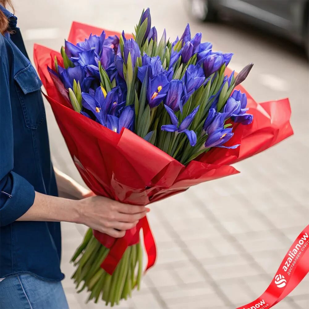 Букет из 25 ирисов в красной пленке с атласной лентой от АзалияНау