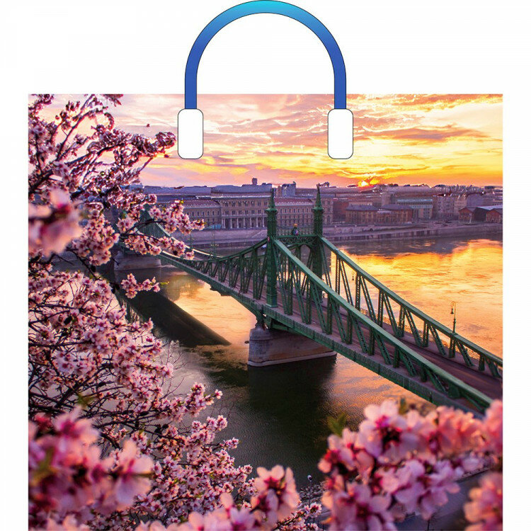 Пакет ПВД с пластиковыми ручками 38*34+3 90мкм Дунай. Количество в наборе 4 шт.